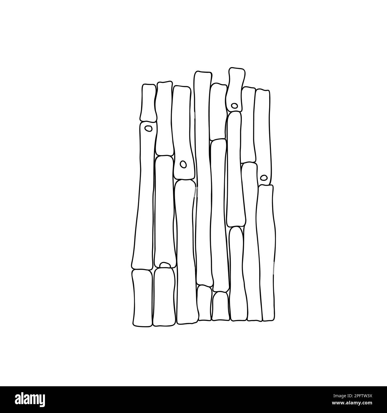 Bamboo Stick Clipart