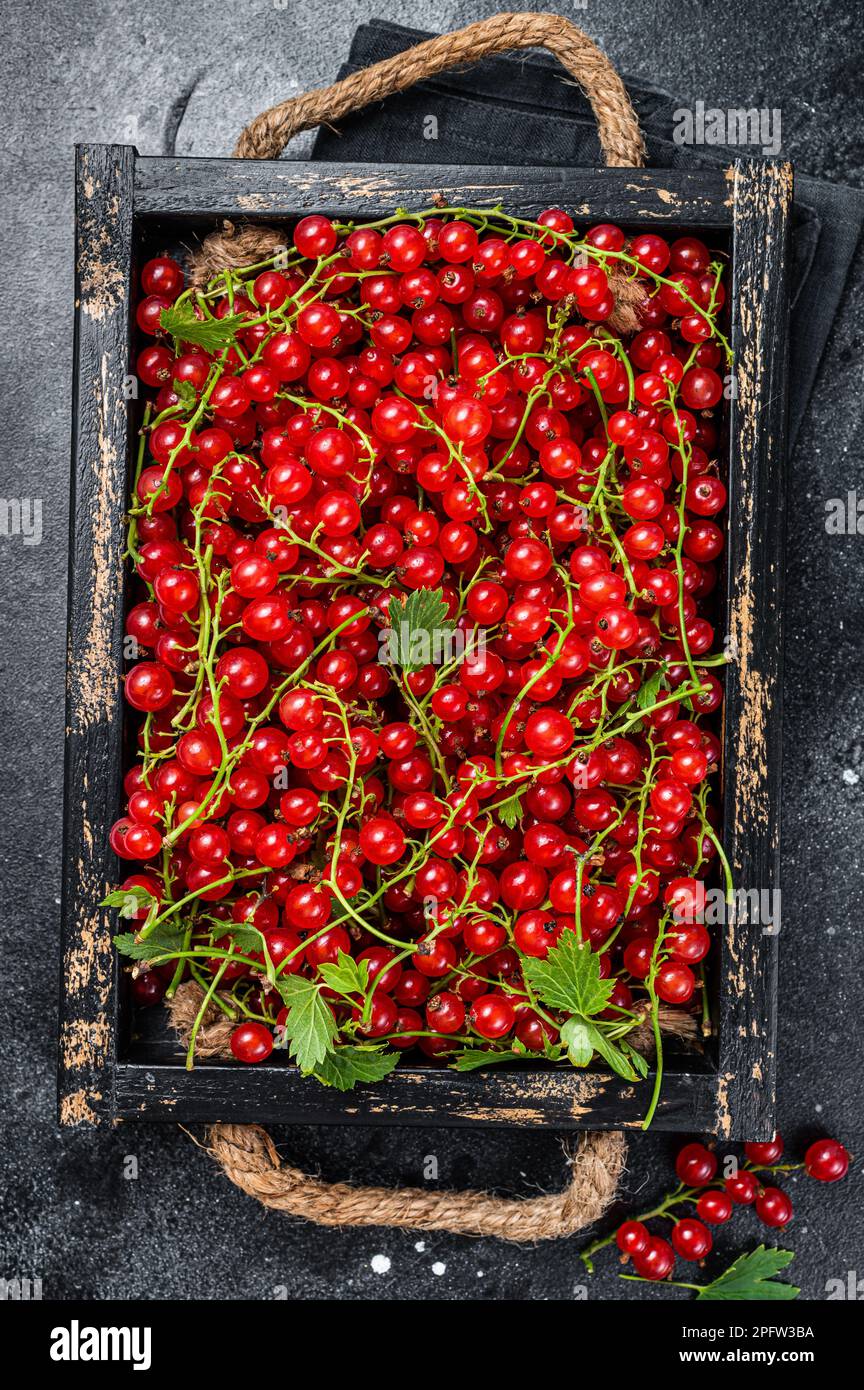 Organic Red currant berries in a wooden box. Black background. Top view ...
