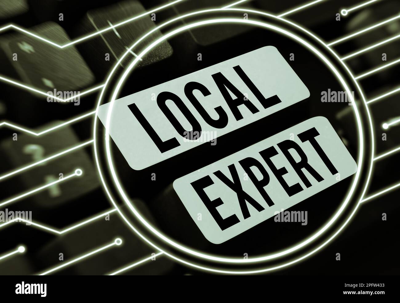 Sign displaying Local Expert. Business idea offers expertise and ...