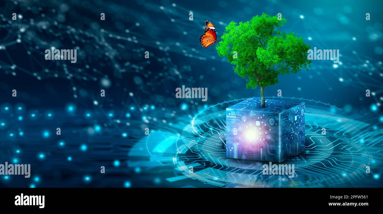 Tree growing on Circuit Digital Cube. Digital and Technology ...