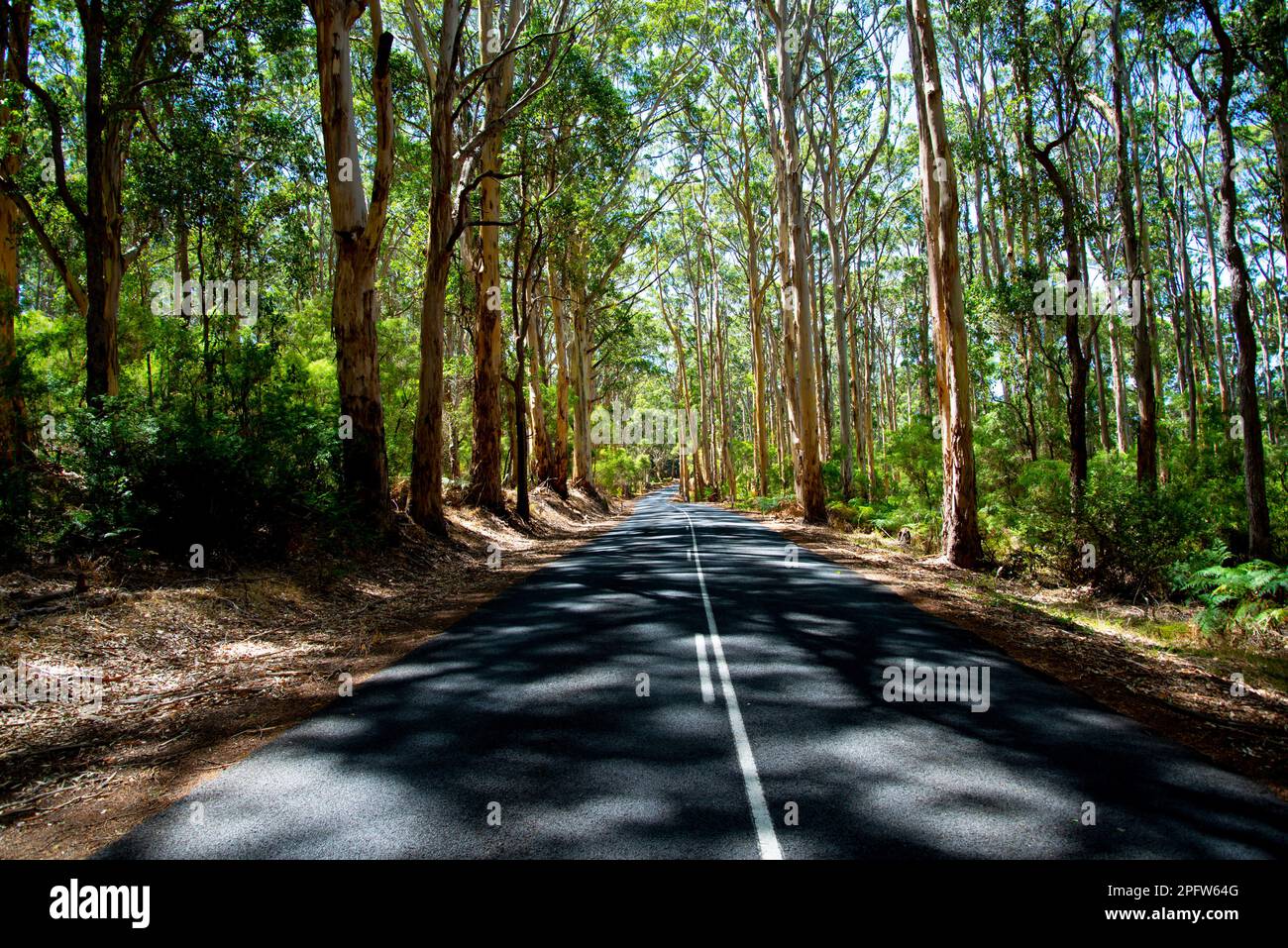 Caves Road - Margaret River - Western Australia Stock Photo - Alamy