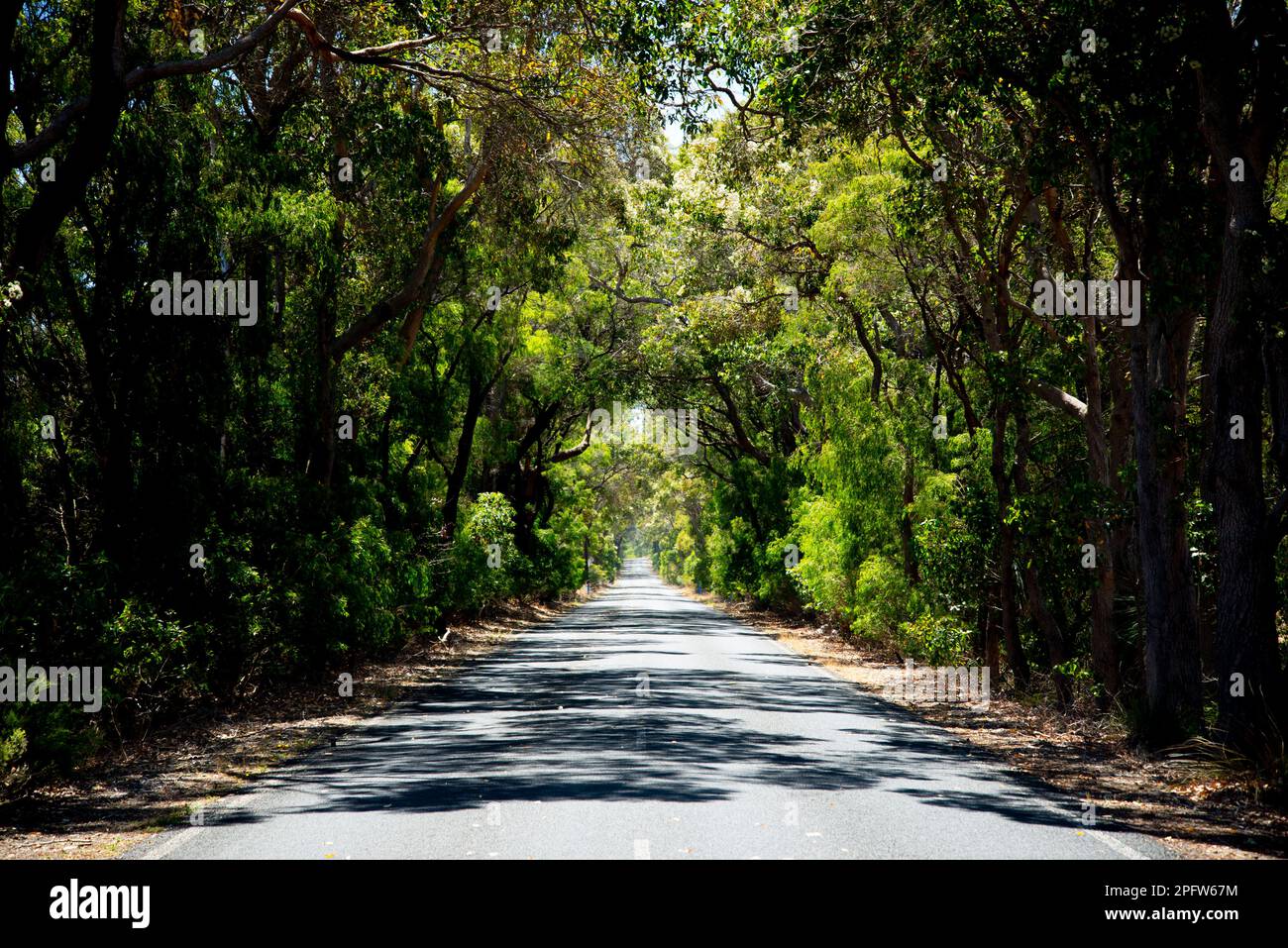 Caves Road - Margaret River - Western Australia Stock Photo - Alamy