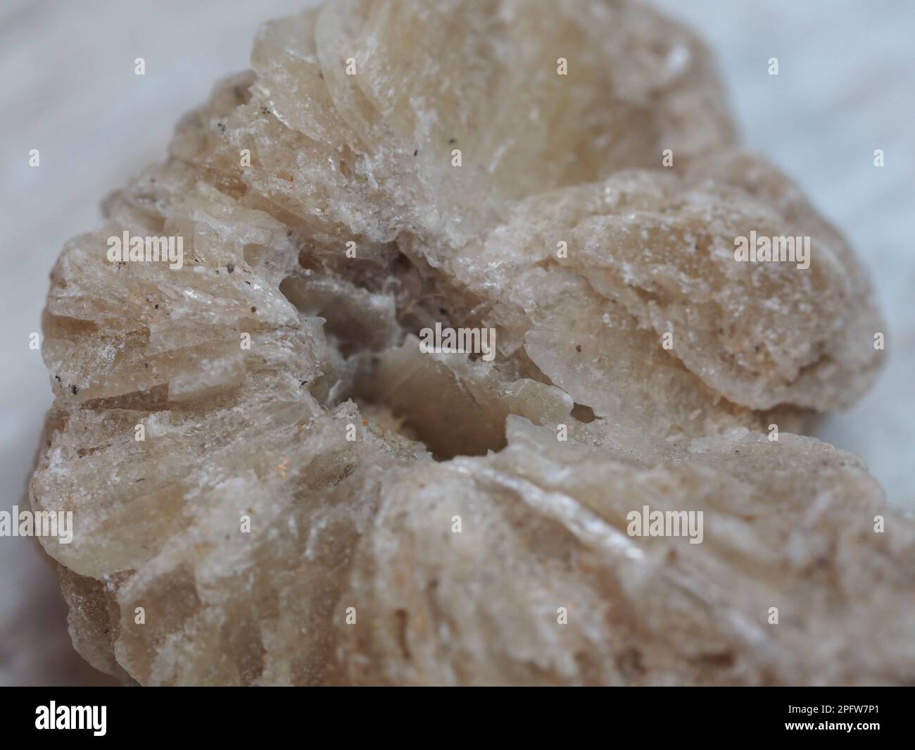 Rose stone hi-res stock photography and images - Alamy