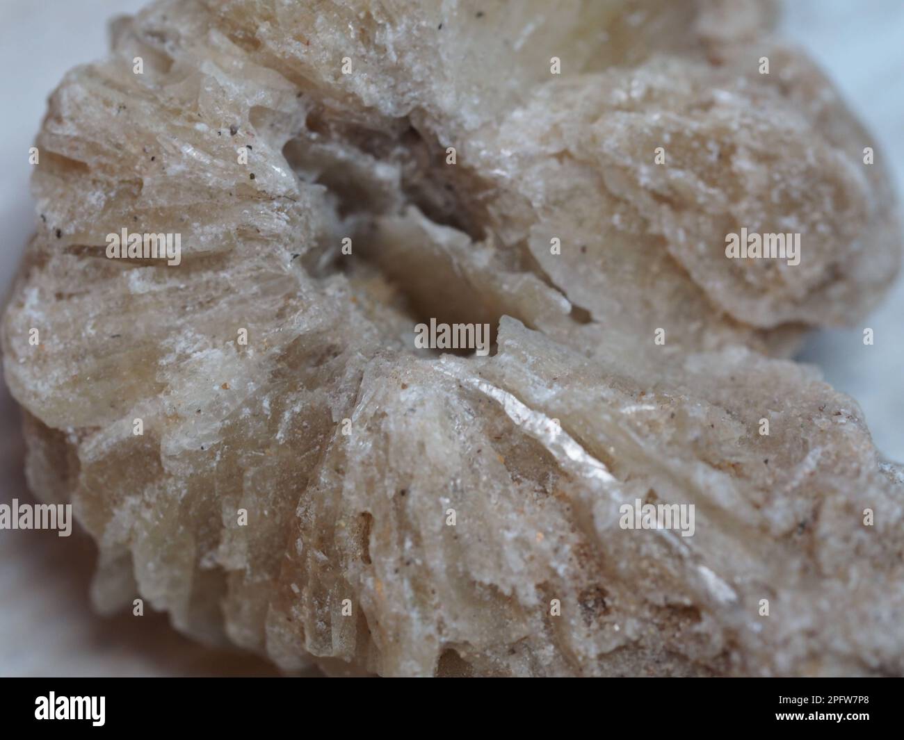 Rose stone hi-res stock photography and images - Alamy