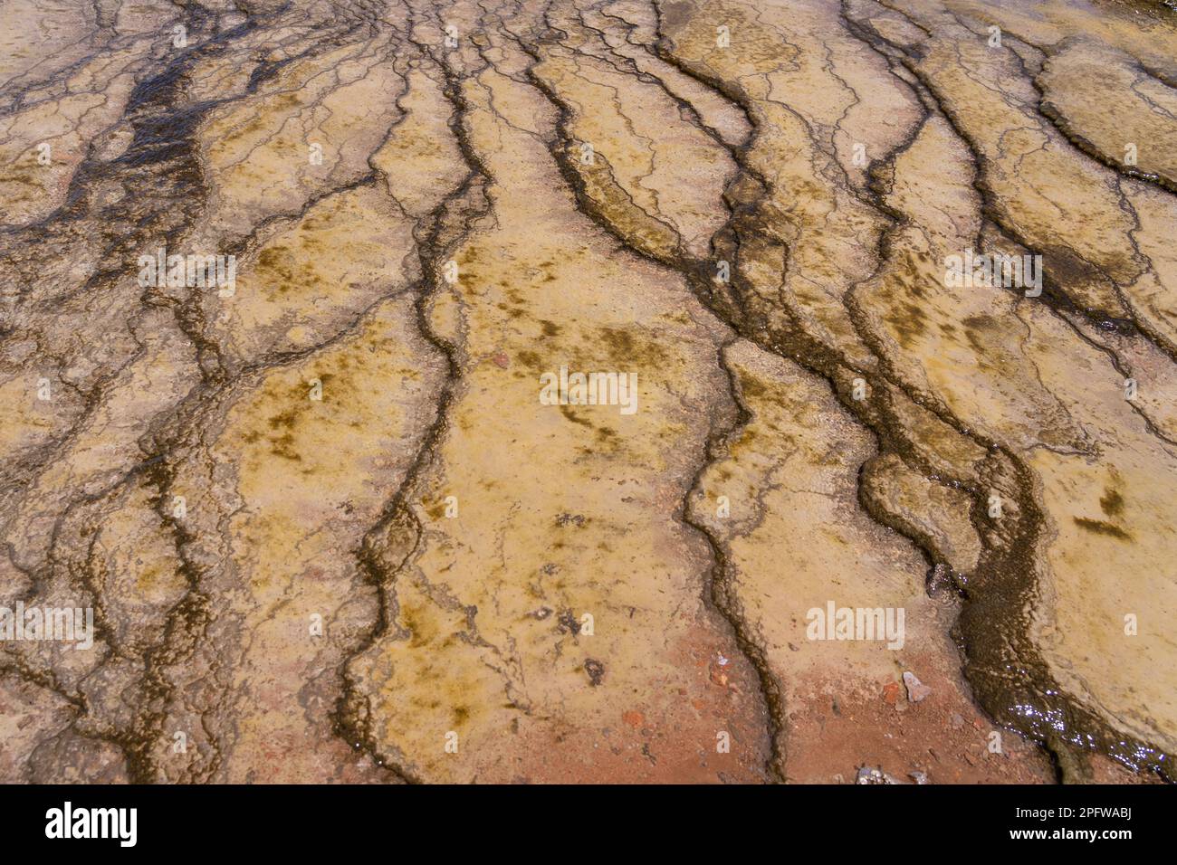 Silica sinter hi-res stock photography and images - Alamy