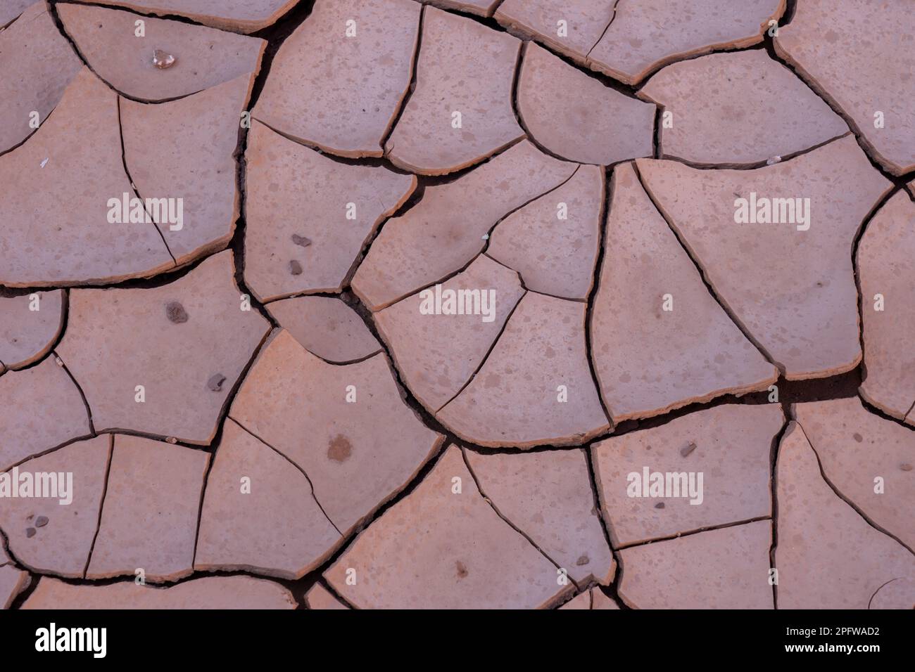 Close up of dried brown mud with cracks and wet raindrops on the ...