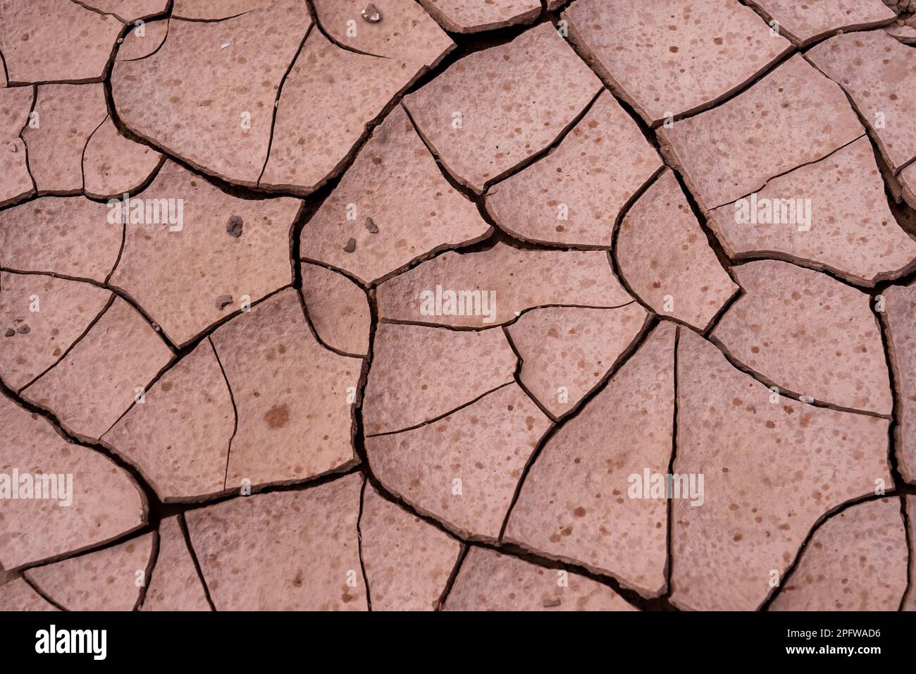 Close up of dried brown mud with cracks and wet raindrops on the ...