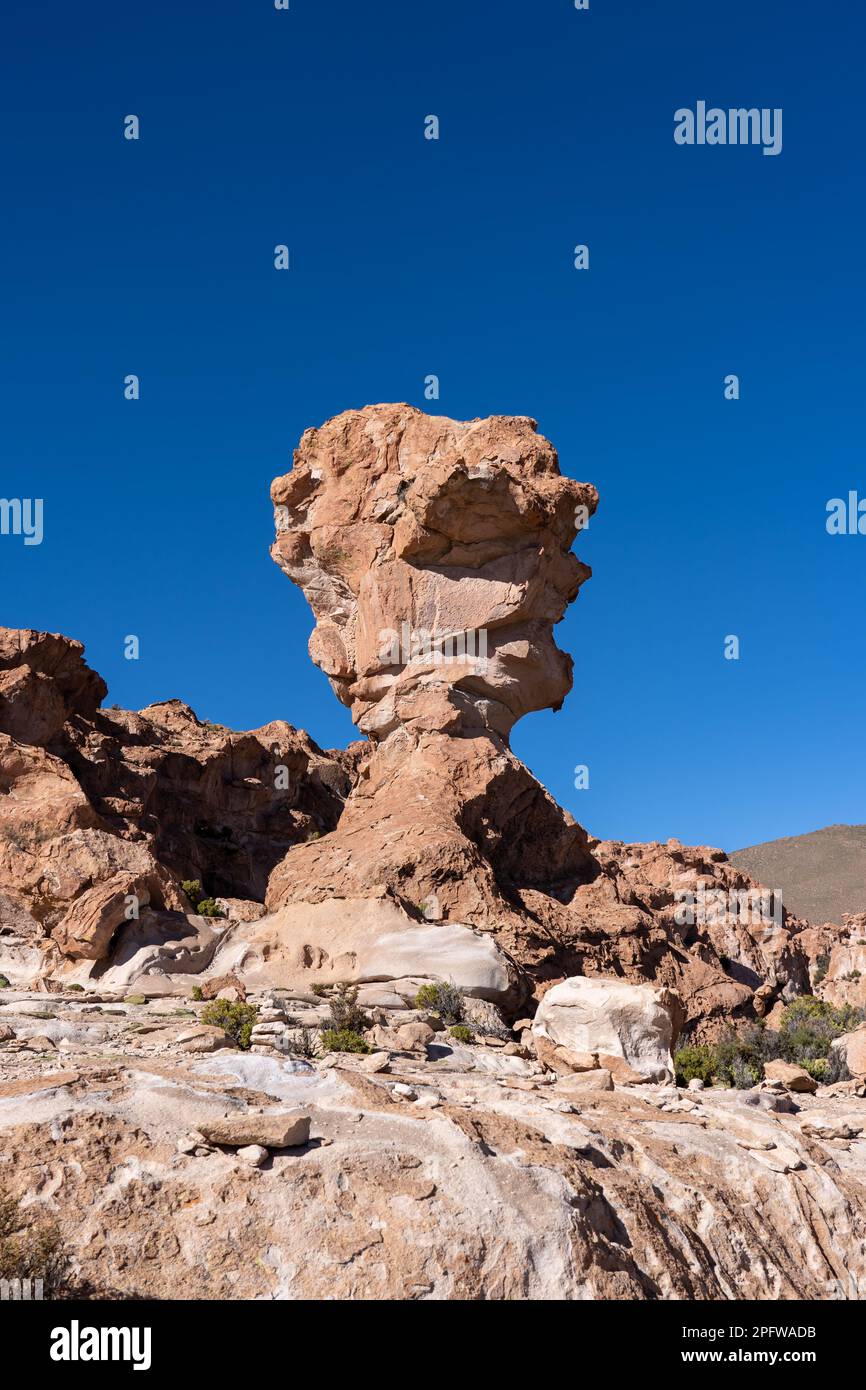 Copa italia cup hi-res stock photography and images - Alamy