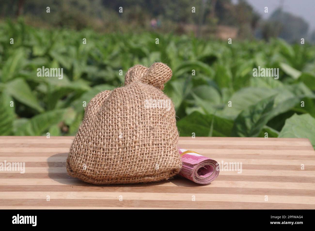 Money bag green hi-res stock photography and images - Alamy