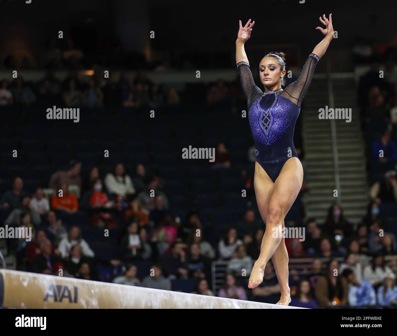 March 18, 2023: Kentucky's Isabella Magnelli competes on the balance ...