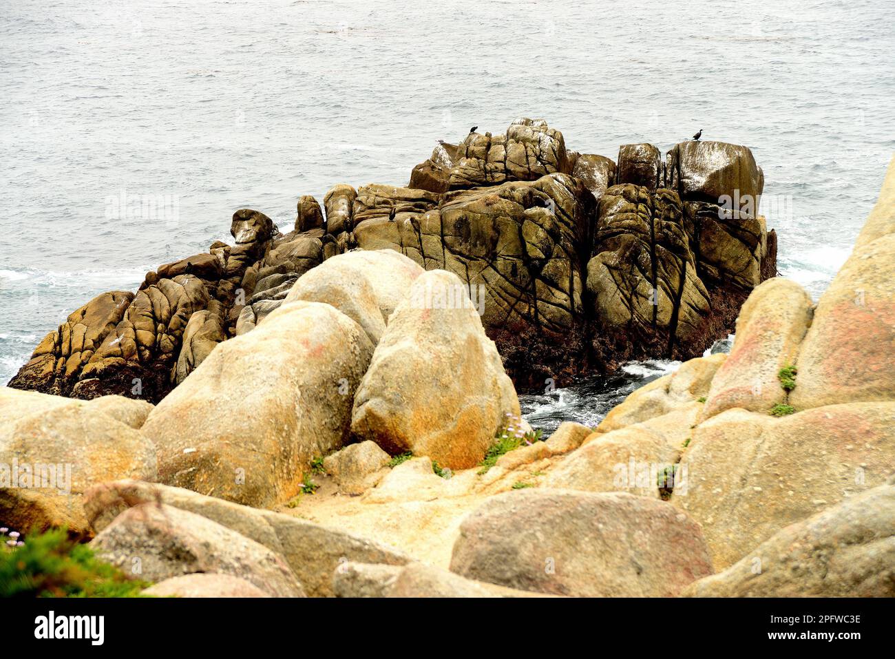 Cool and brilliant morning at Big Sur California Stock Photo - Alamy