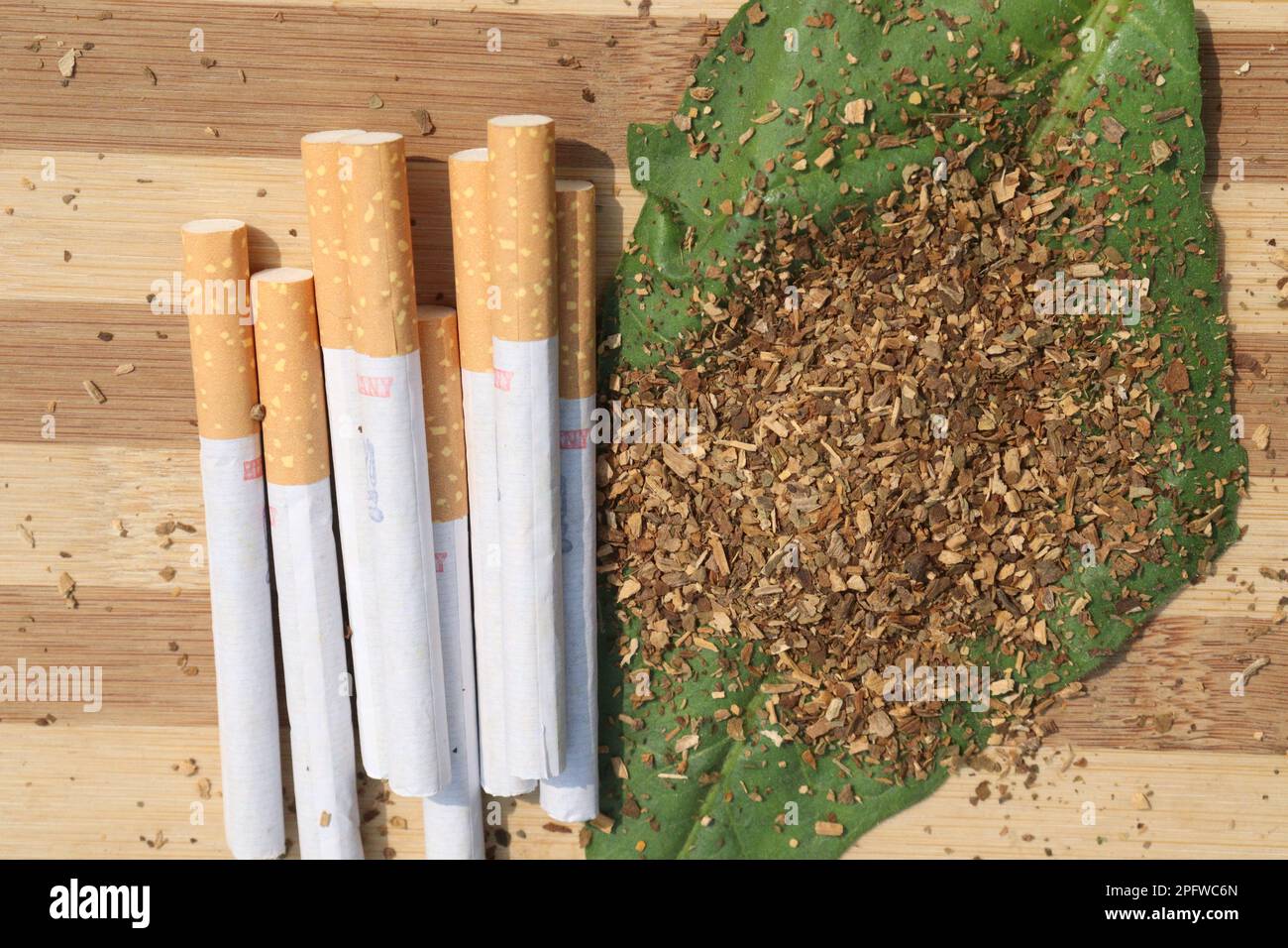 raw tobacco leaf with cigarette on farm for harvest are cash crops ...