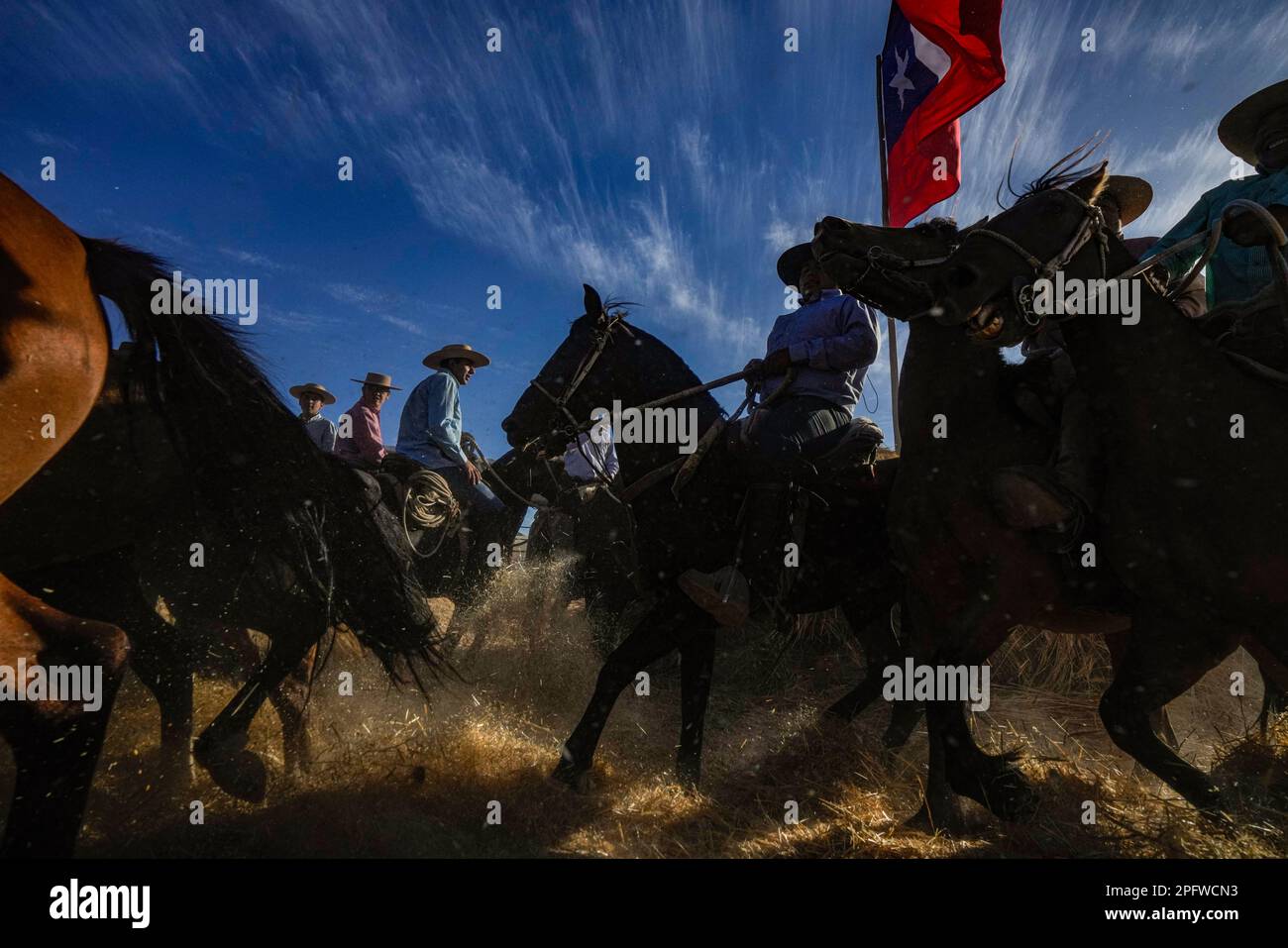 Riders perform in a threshing exhibition at the first Colina Equestrian ...