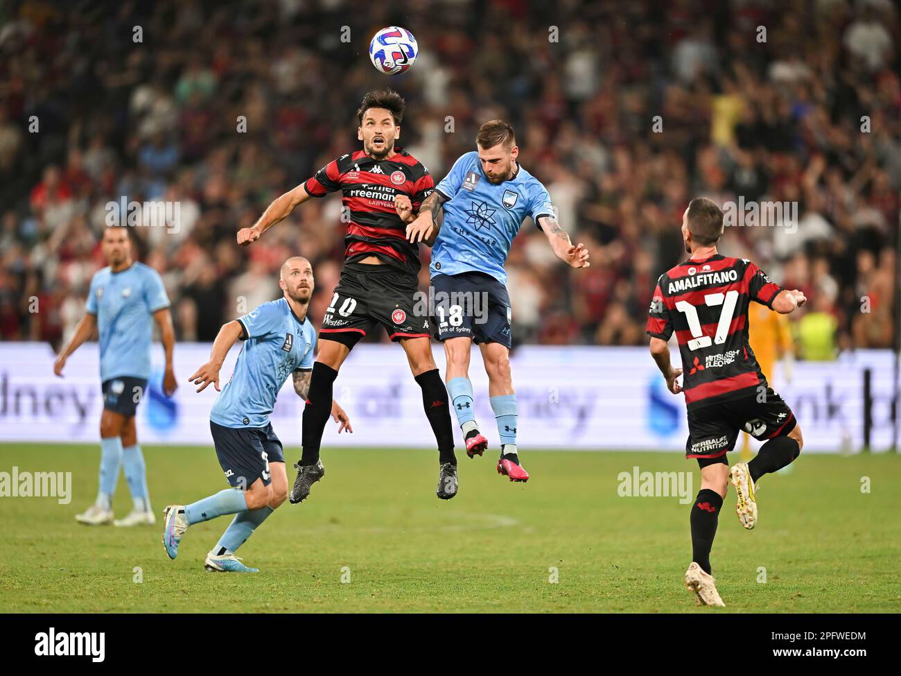 Joseph Lolley of Sydney FC and Milos Ninkovic of the Wanderers attempt ...