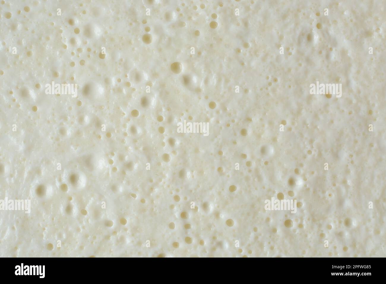 close-up of homemade curd surface, thick yogurt or milk product texture ...