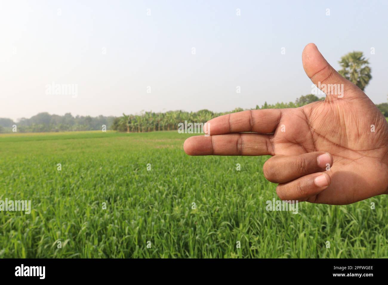 Weeding finger hi-res stock photography and images - Alamy