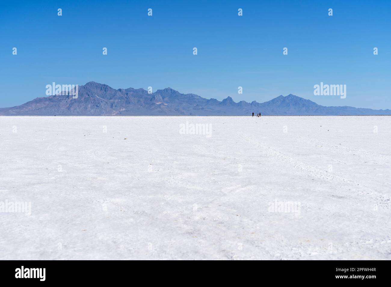 The view of Bonneville Salt Flats in Utah Stock Photo - Alamy
