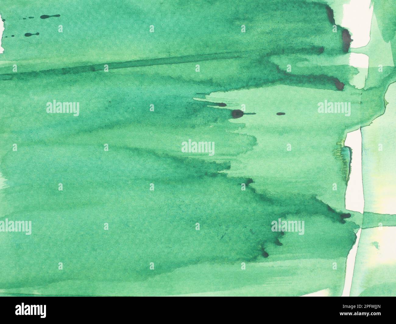 Abstract background and texture pattern green color flow on white ...