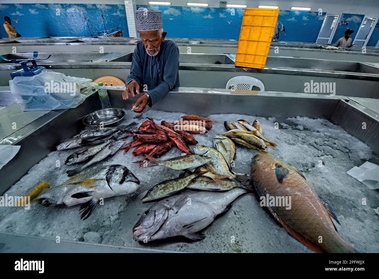 Scenes from the Fish Market, Mutrah Souq, Muscat, Oman Stock Photo - Alamy