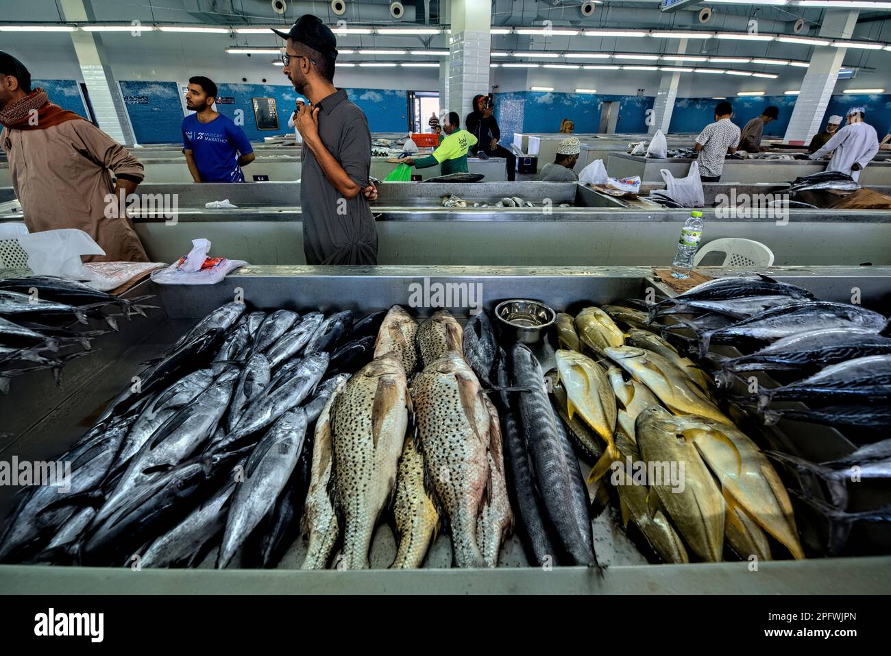 Scenes from the Fish Market, Mutrah Souq, Muscat, Oman Stock Photo - Alamy