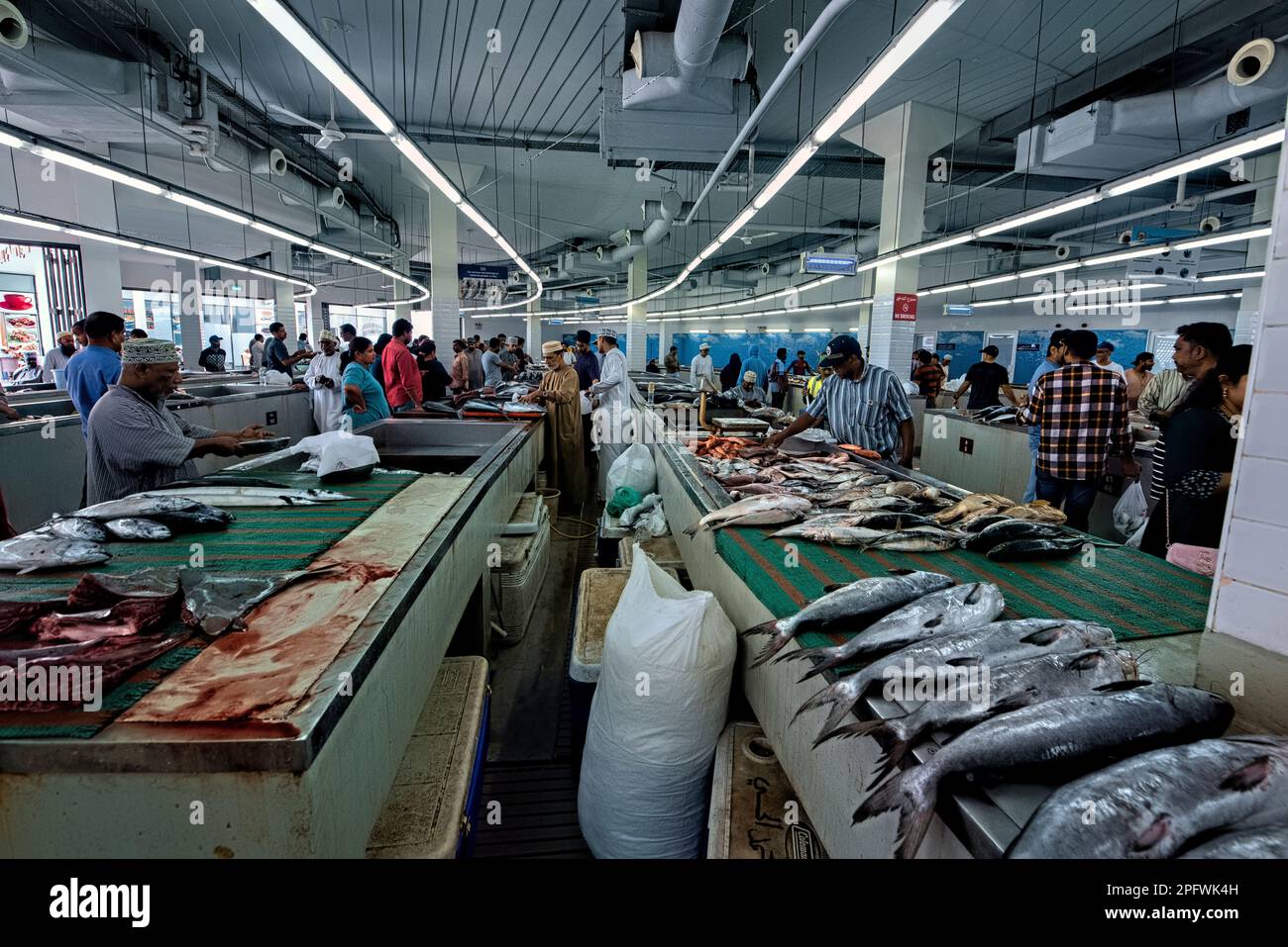 Scenes from the Fish Market, Mutrah Souq, Muscat, Oman Stock Photo - Alamy