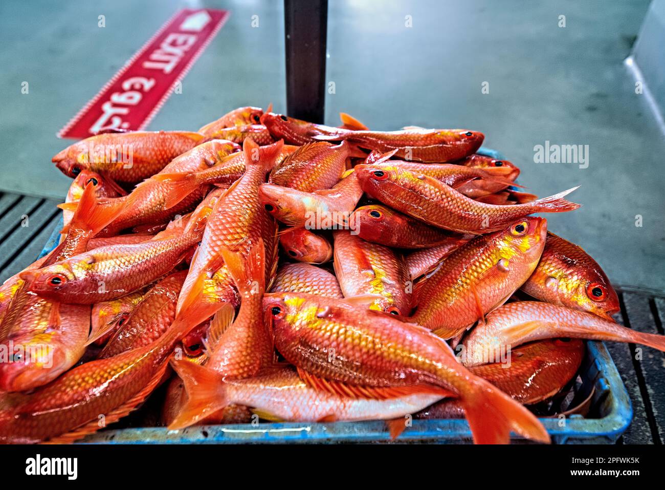 Fresh red snapper for sale at the Fish Market, Mutrah Souq, Muscat ...