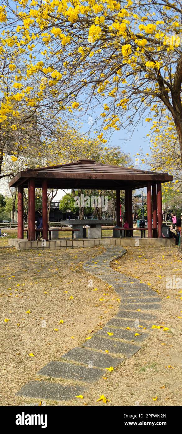 Beitun Xizi Park, Taichung - March 9, 2023 : Beside Xizi Park in Dakeng ...