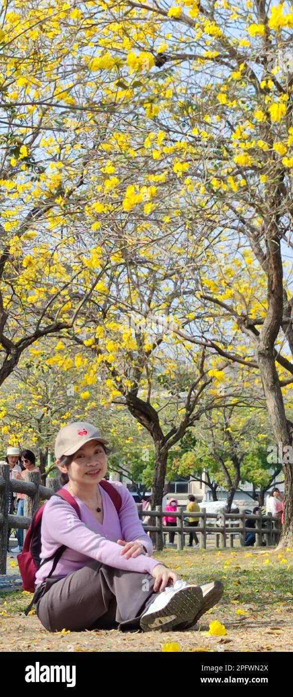 Beitun Xizi Park, Taichung - March 9, 2023 : Beside Xizi Park in Dakeng ...