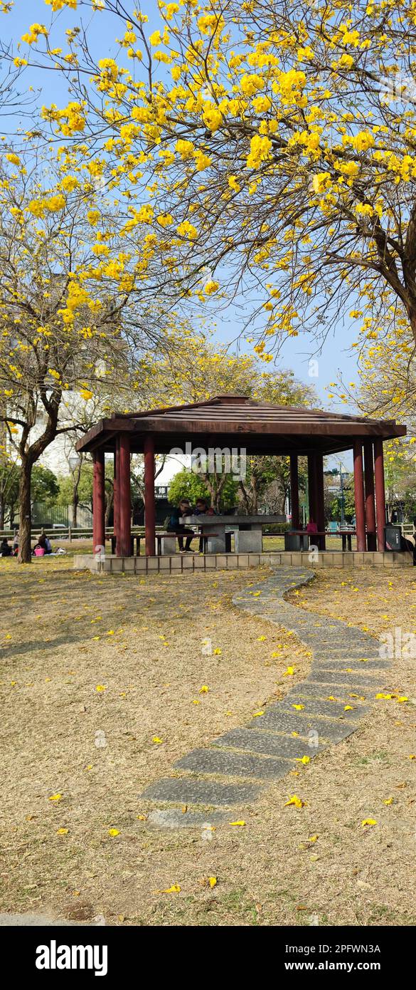 Beitun Xizi Park, Taichung - March 9, 2023 : Beside Xizi Park in Dakeng ...