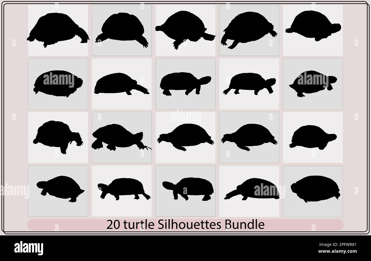 Turtle vector silhouettes collection of turtle vector silhouettes hi ...
