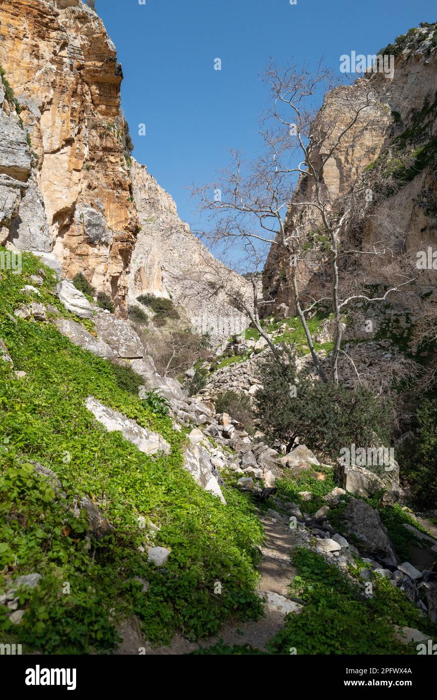 Hiking trail in the Avakas Gorge Stock Photo - Alamy