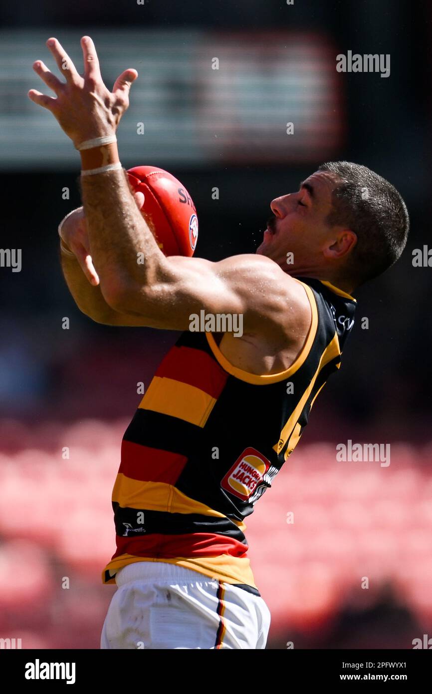 Taylor Walker of the Adelaide Crows in action during the AFL Round 1 ...