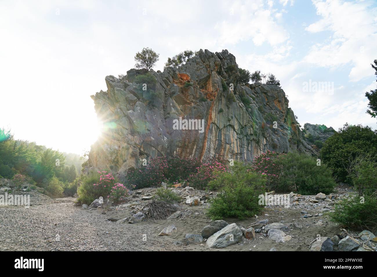 Canyon in Rhodes Greek Island dry River in the summer, Schlucht in ...