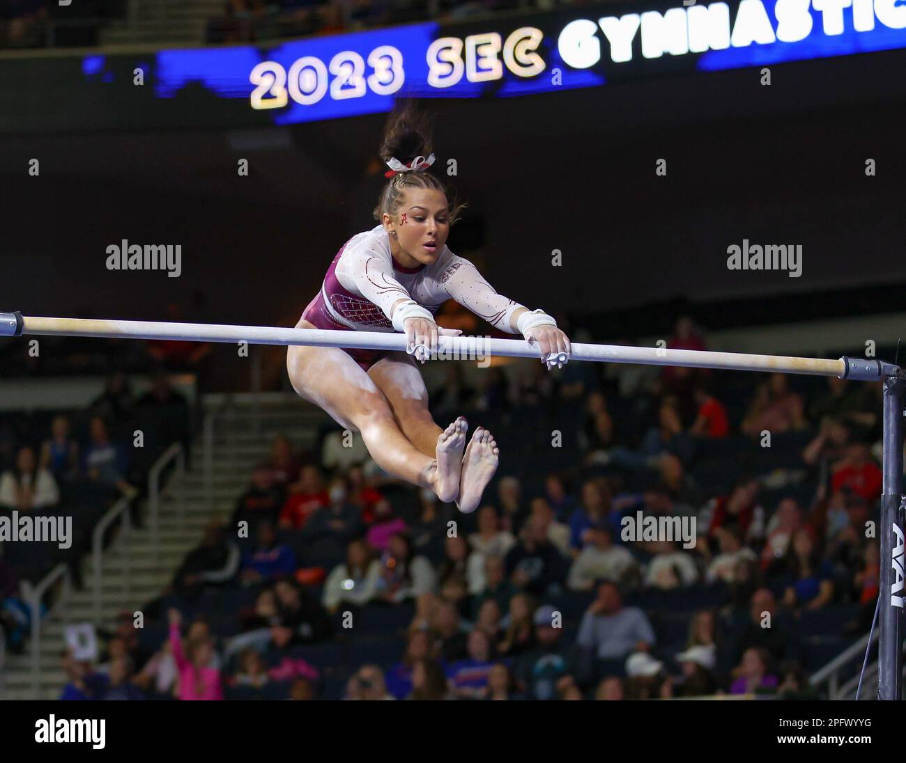 Kyle machado hi-res stock photography and images - Alamy