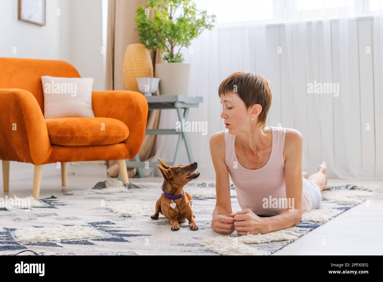 Cute woman practicing yoga with dog breed pygmy pinscher, enjoy and ...