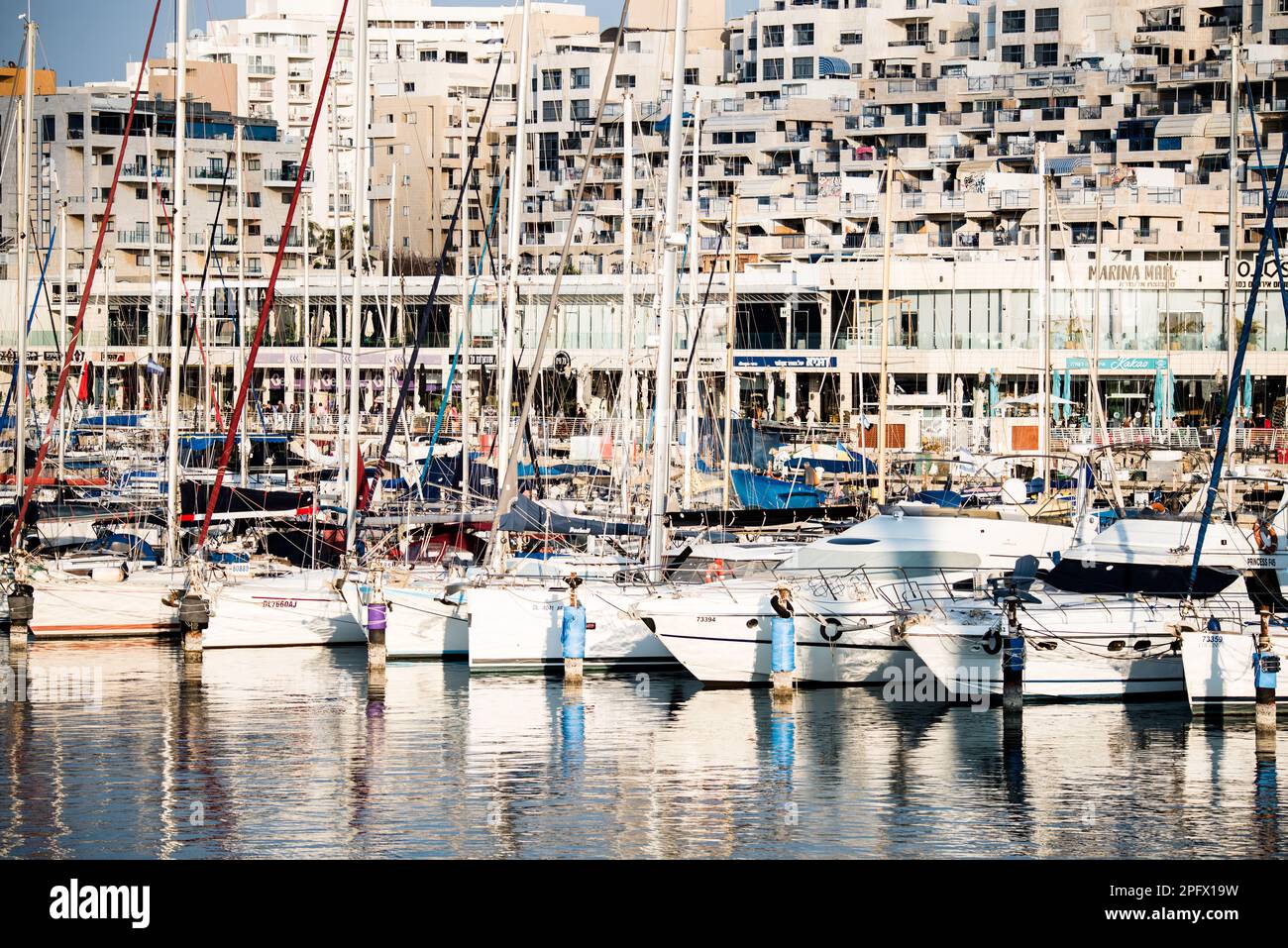 The marina is a busy place to the eye but calm because it is a place of ...