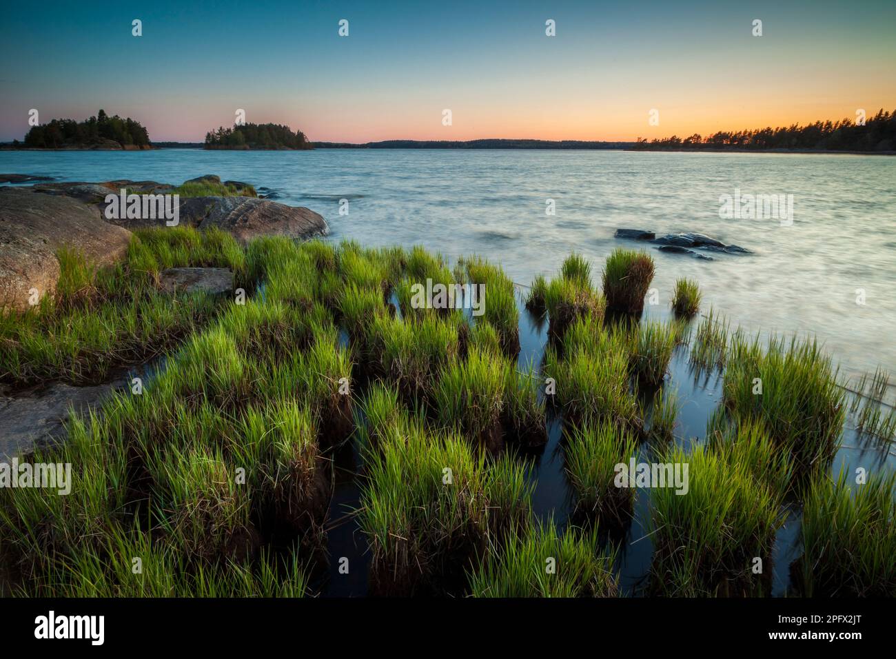Spring evening light and fresh new green grass at the lakeside of the ...