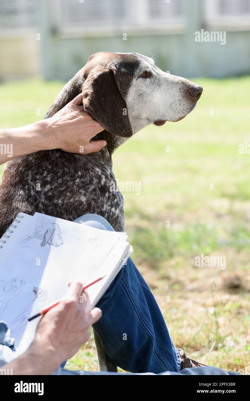 Dog profile picture hi-res stock photography and images - Alamy