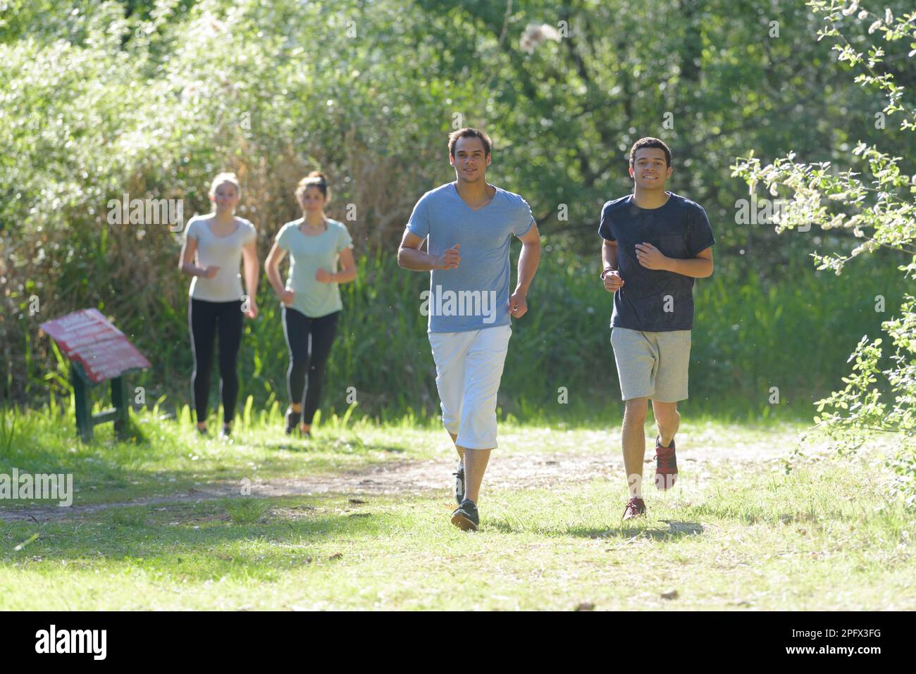 competitors running in a forest at an endurance event Stock Photo - Alamy