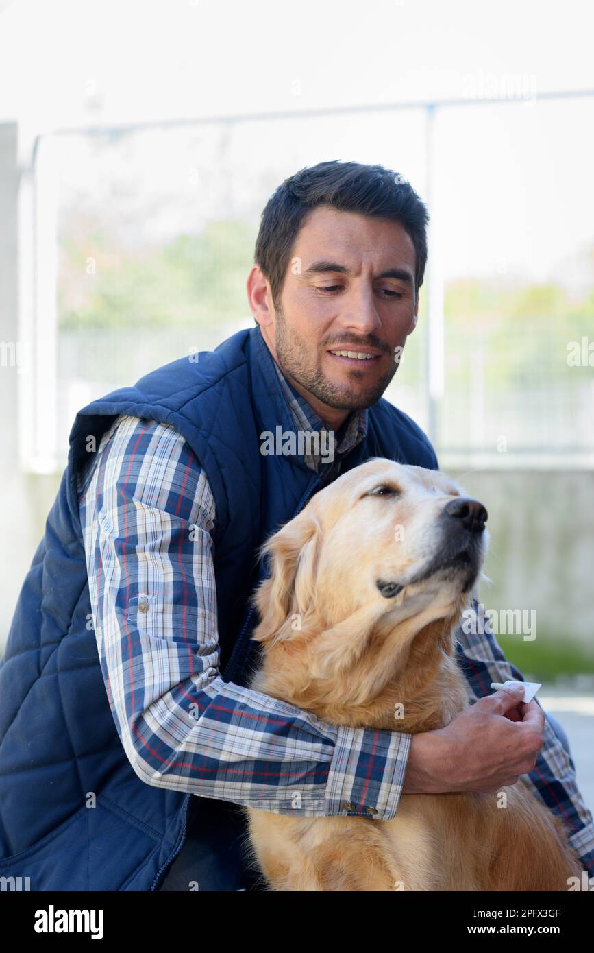 doctor taking care of a dog Stock Photo - Alamy