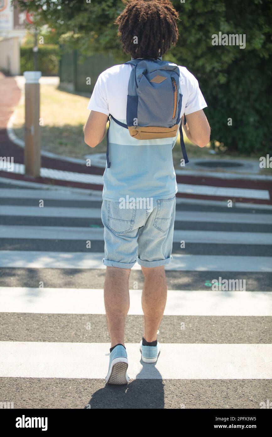 rear view of male pedestrian walking on zebra crossing Stock Photo - Alamy