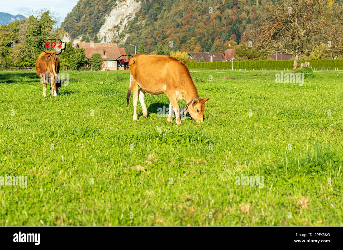 Co2 balance hi-res stock photography and images - Alamy