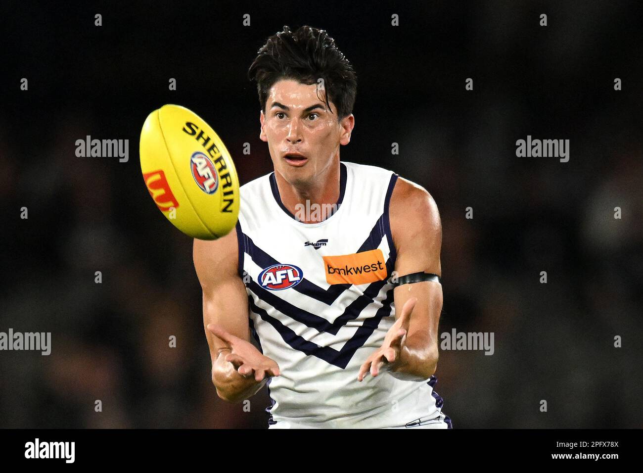 Bailey Banfield of the Dockers marks the ball during the AFL Round 1 ...