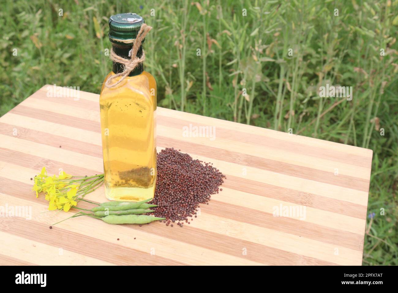 mustard oil in bottle with flower and bud and seed on farm for harvest ...