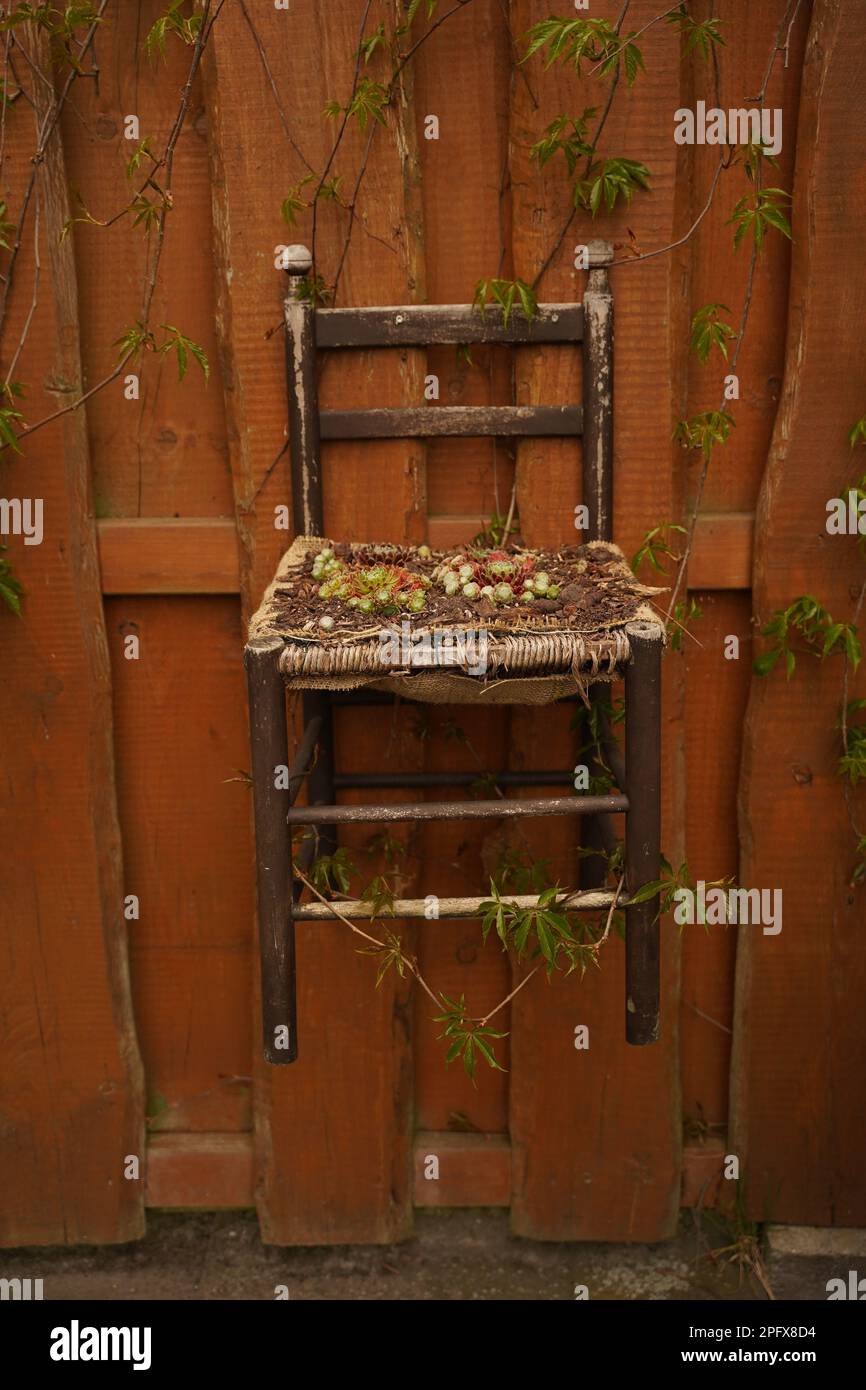 Original garden decor. An old chair is nailed to the fence. The chair ...