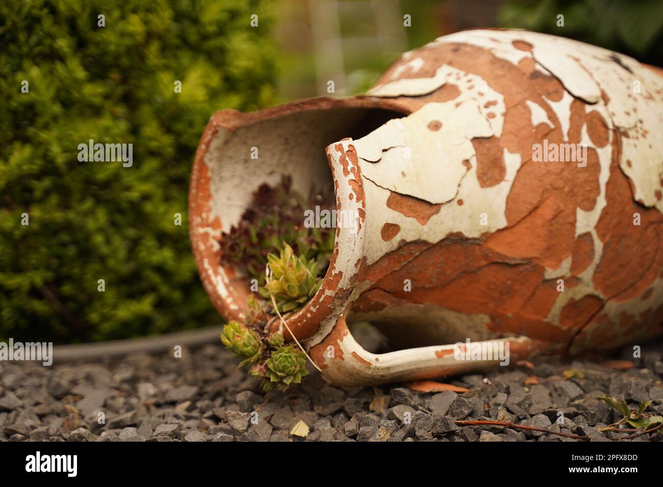 Beautiful traditional Greek vase lying on the ground with green ivy in ...