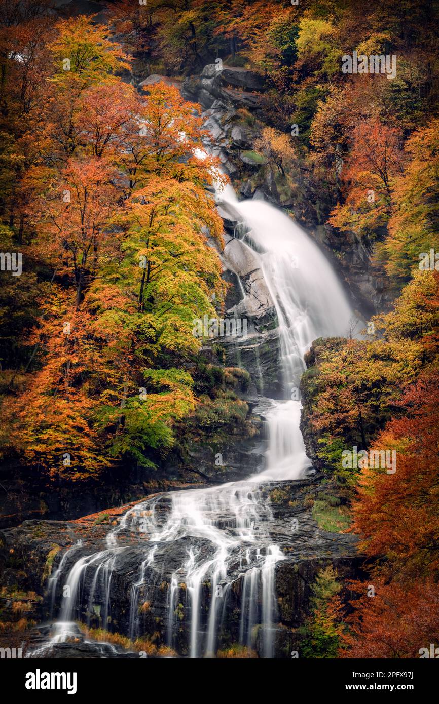 A waterfall surrounded by autumn trees Stock Photo - Alamy