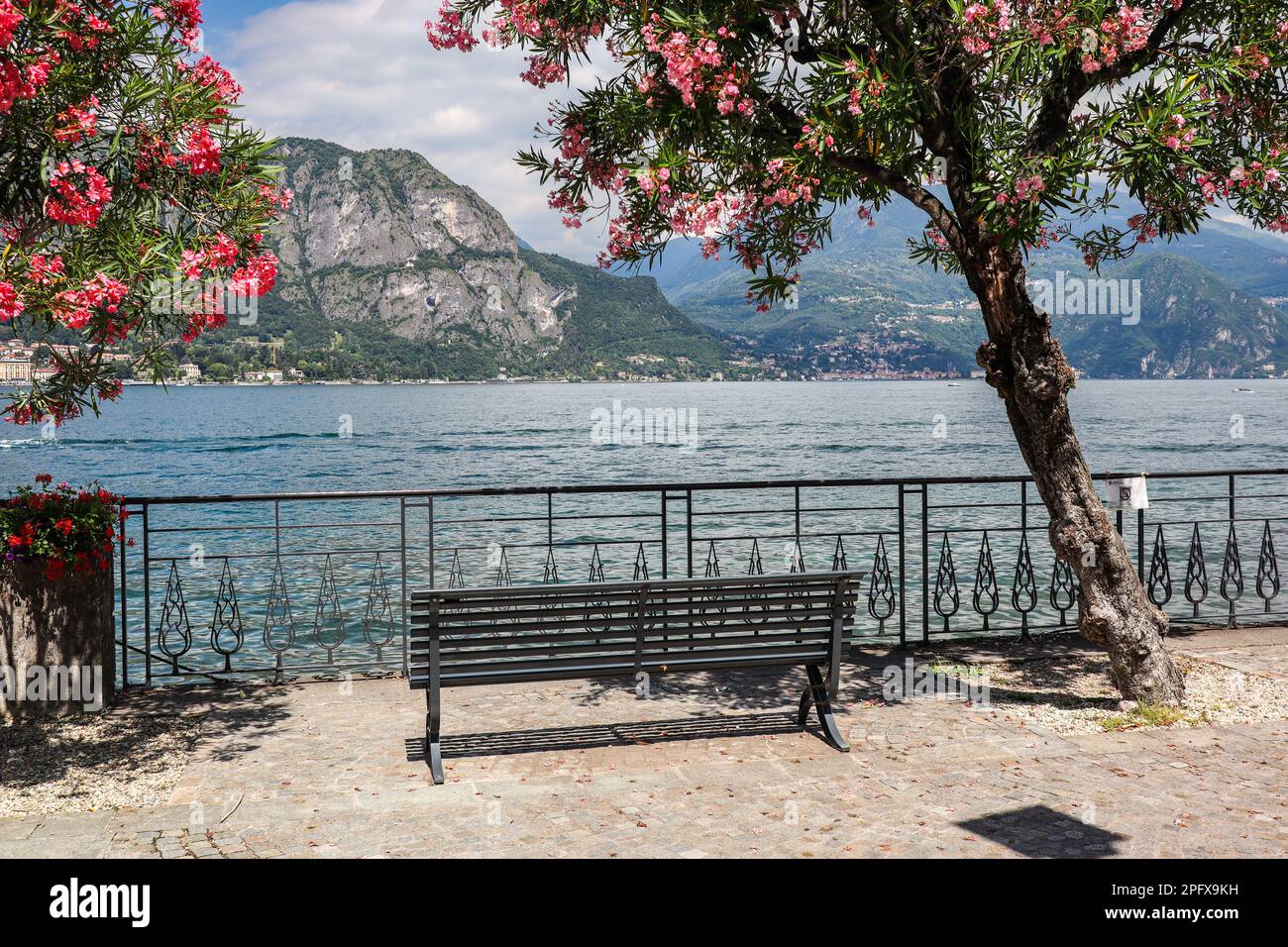 Romantic View of Bench with Floral Trees and Lake Como in Italy. Summer ...
