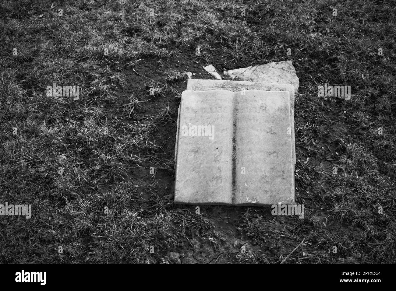 An open book carved into natural stone and a blank epitaph with room ...