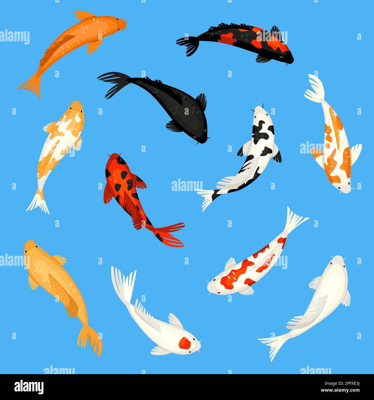 Koi fish swimming in pond cartoon illustration set Stock Vector Image ...